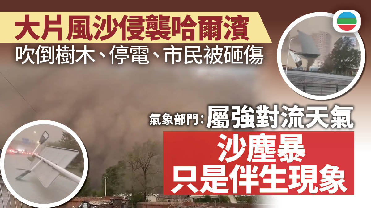 哈爾濱出現疑似沙塵暴吹倒市區樹木 多人受傷 | 無綫新聞 TVB News